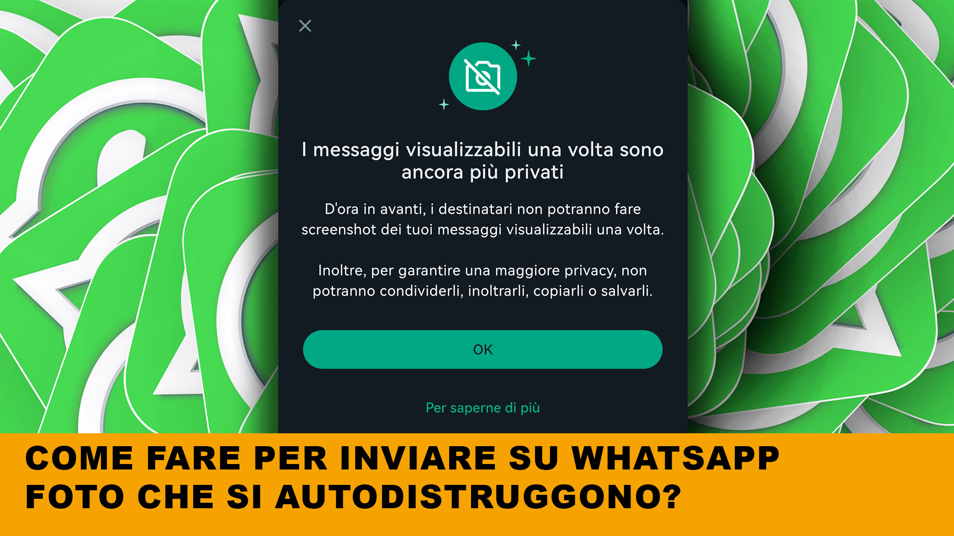 Come inviare foto che si autodistruggono su Whatsapp?